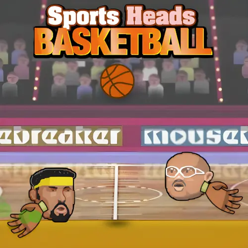 Sports head basketball store